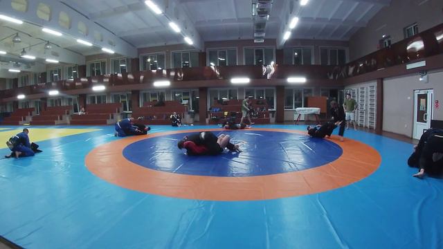 Тренировка 10.07.24