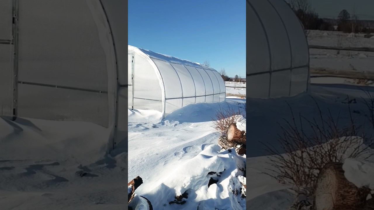 Теплицы зимой. Теплица Светлица. #теплица #теплицазимой