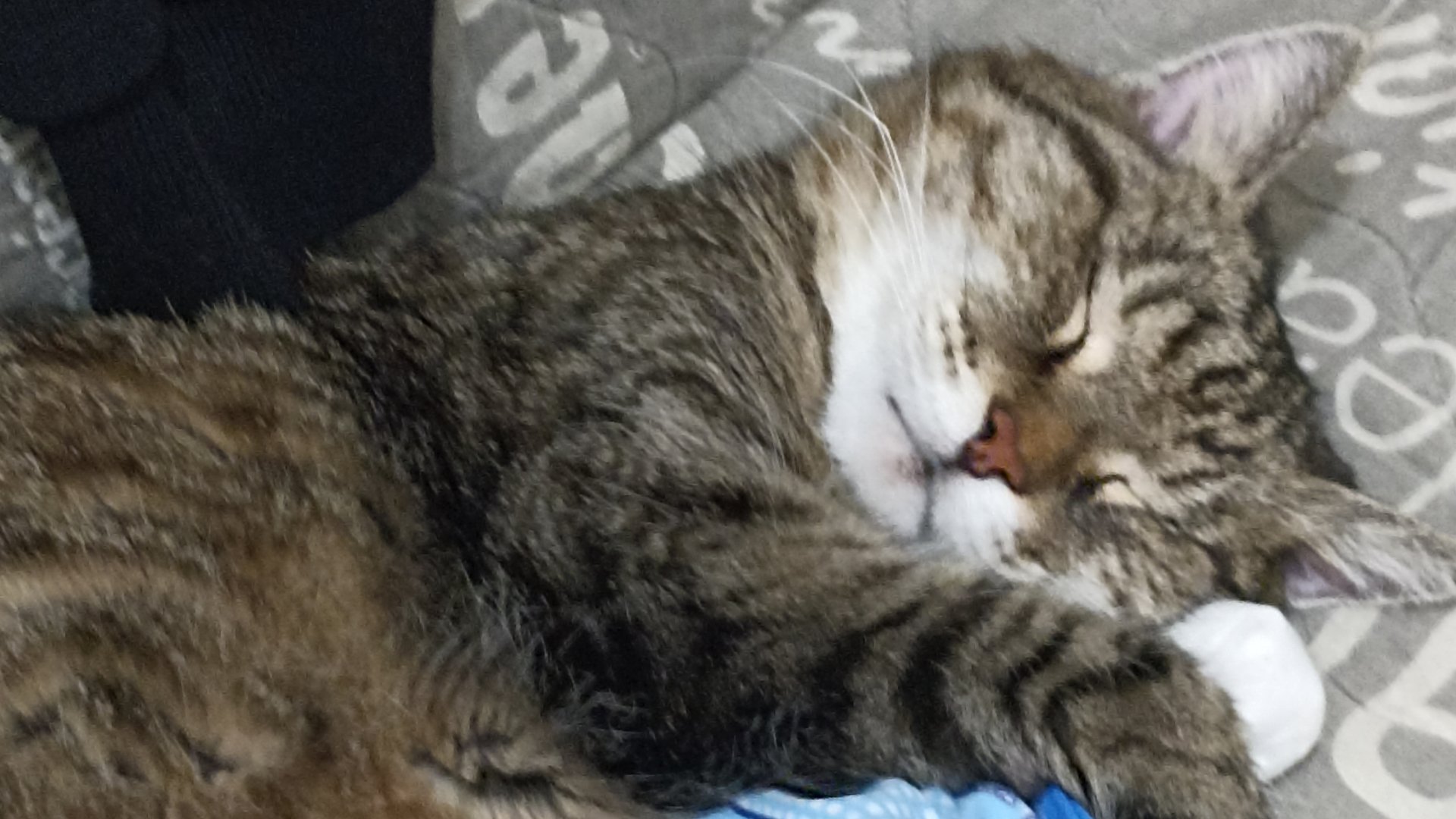 Я пошёл в магазин Брукхейвен серия 3