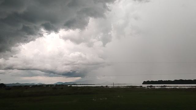 Шри-Ланка. Озеро в джунглях с буйволами экскурсия Элла.
Шри Ланка за 58 тысяч рублей. Тутси влог.