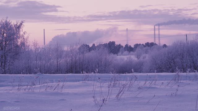Подмосковная зимняя сказка. Nikon Z50
