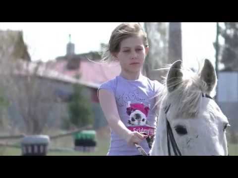 Лошади фильм 13