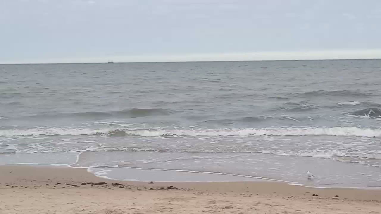 2 марта 2023 года. Зеленоградск.