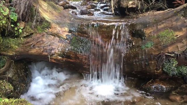 Медитация - бинауральные бета-ритмы. Повышение уровня концентрации и  жизненной энергии.