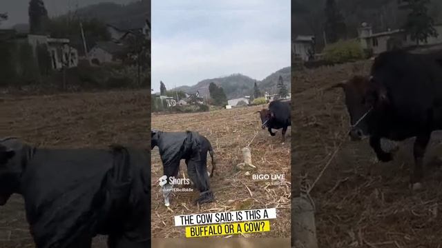 18 апреля 2023 г.