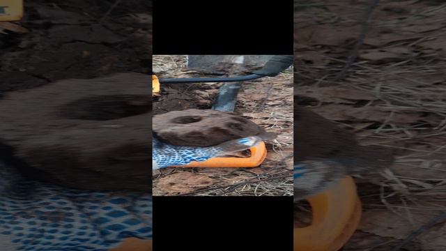 Ещё находка