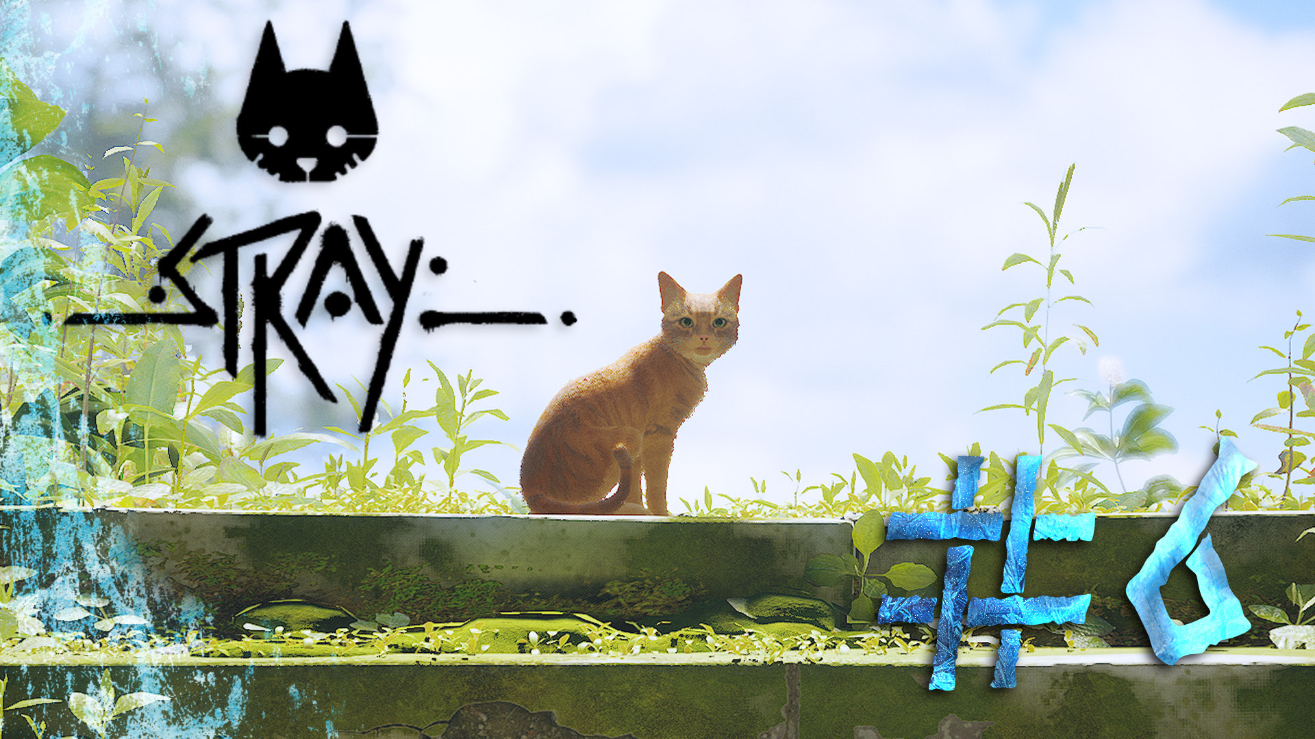 ФИНАЛ ► STRAY #6
