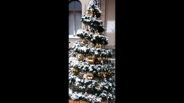 НОВОГОДНЯЯ ЕЛКА