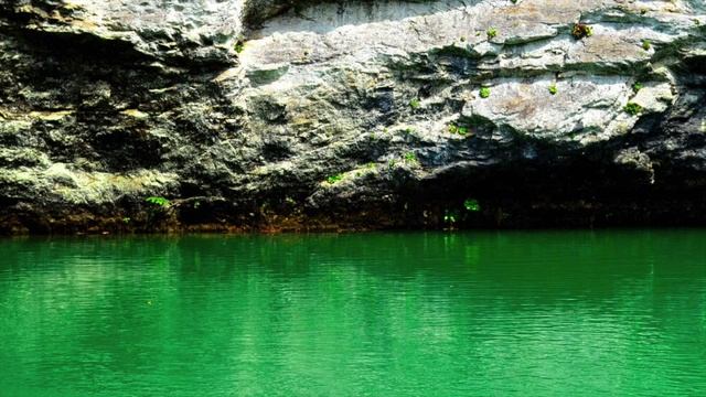 мои фотографии