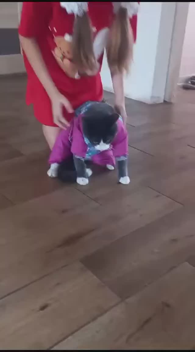 Хорошего настроения 🥹/Котики - собачки.