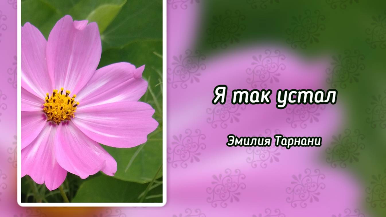 Я так устал...Но ведь есть выход!... (+)