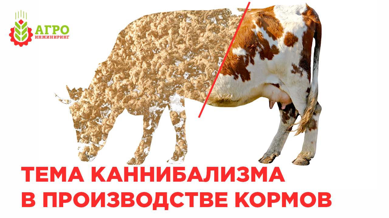 Проблема каннибализма при производстве кормов из био-отходов для сельскохозяйственных животных.