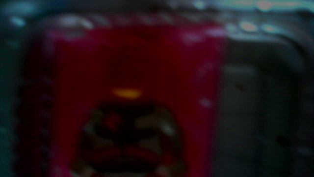 Я в кругоСВЕТКЕ 2