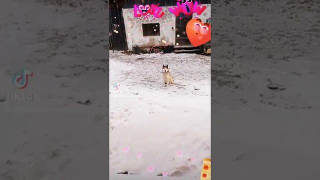 29 марта 2022 г. Любовь.mp4