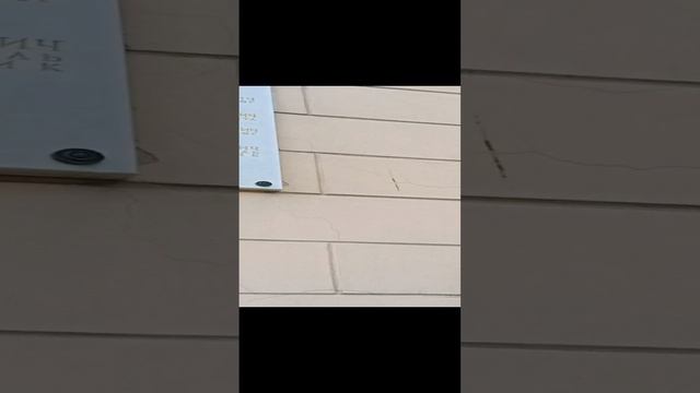 типичный Питер