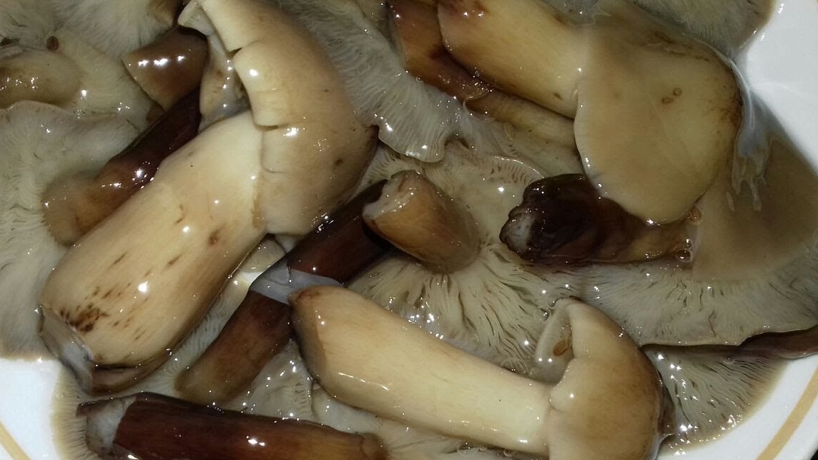 Опята лесные маринованные. Грибы на зиму