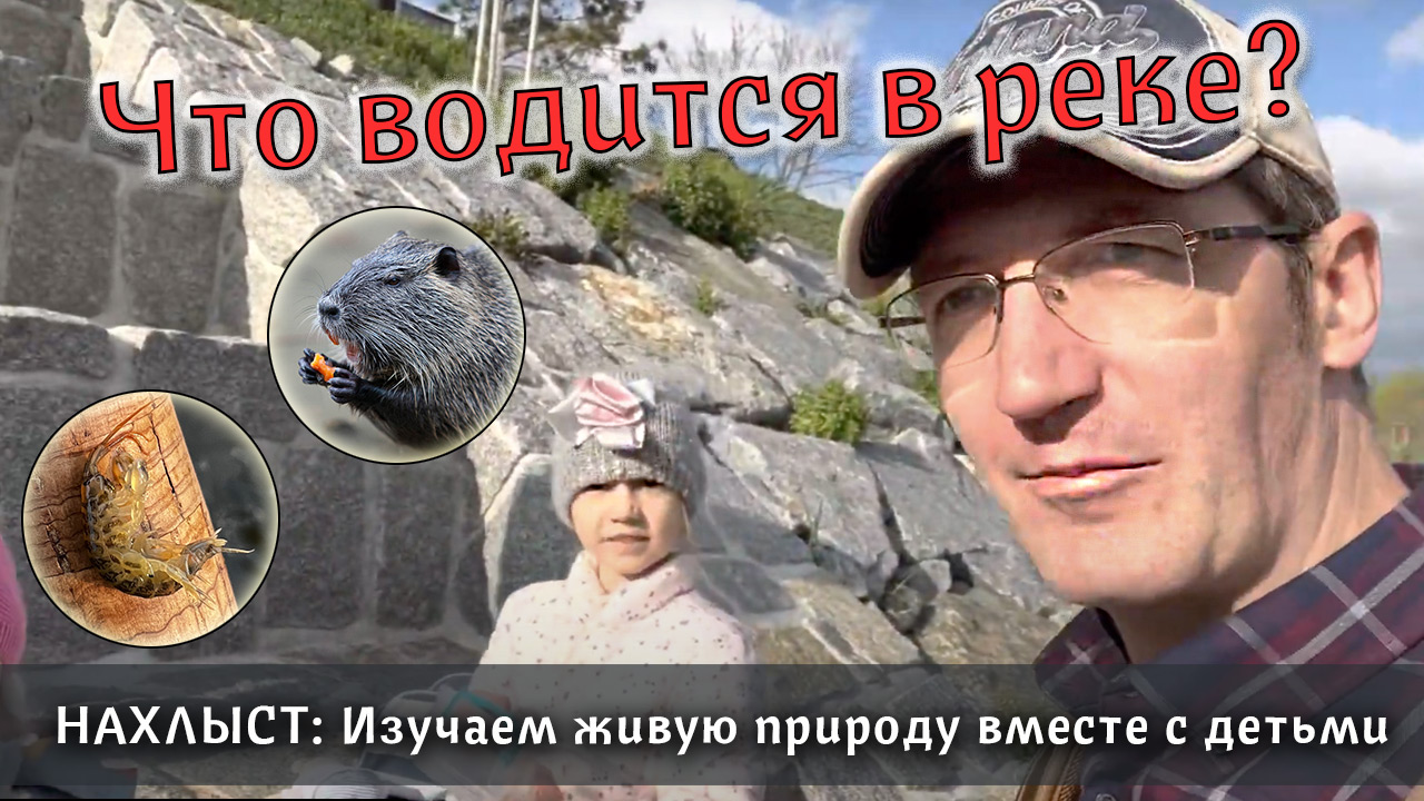 НАХЛЫСТ: Что водится в реке? Изучаем живую природу вместе с детьми. #рыбалка #природа #дети