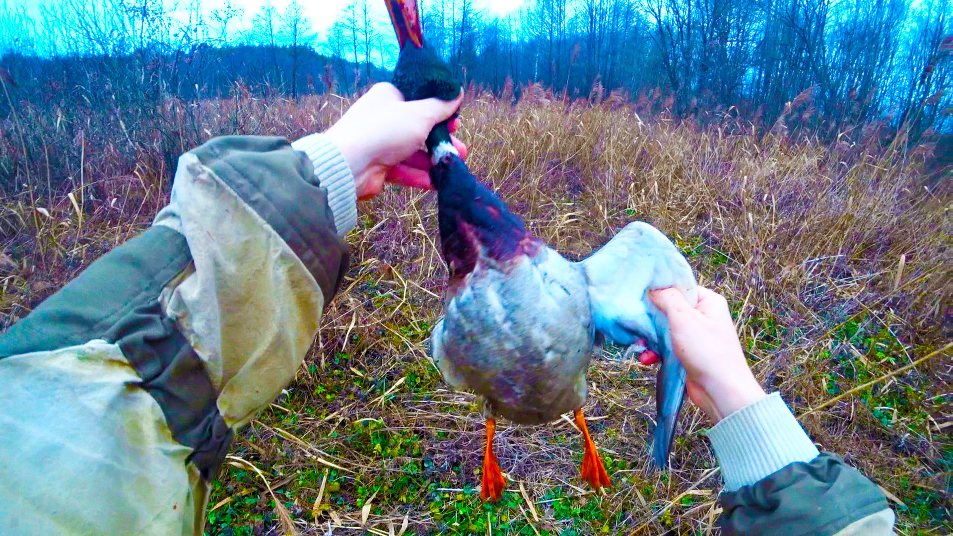 ОХОТА НА УТОК.ДВА СЕЛЕЗНЯ С ТИНОЙ