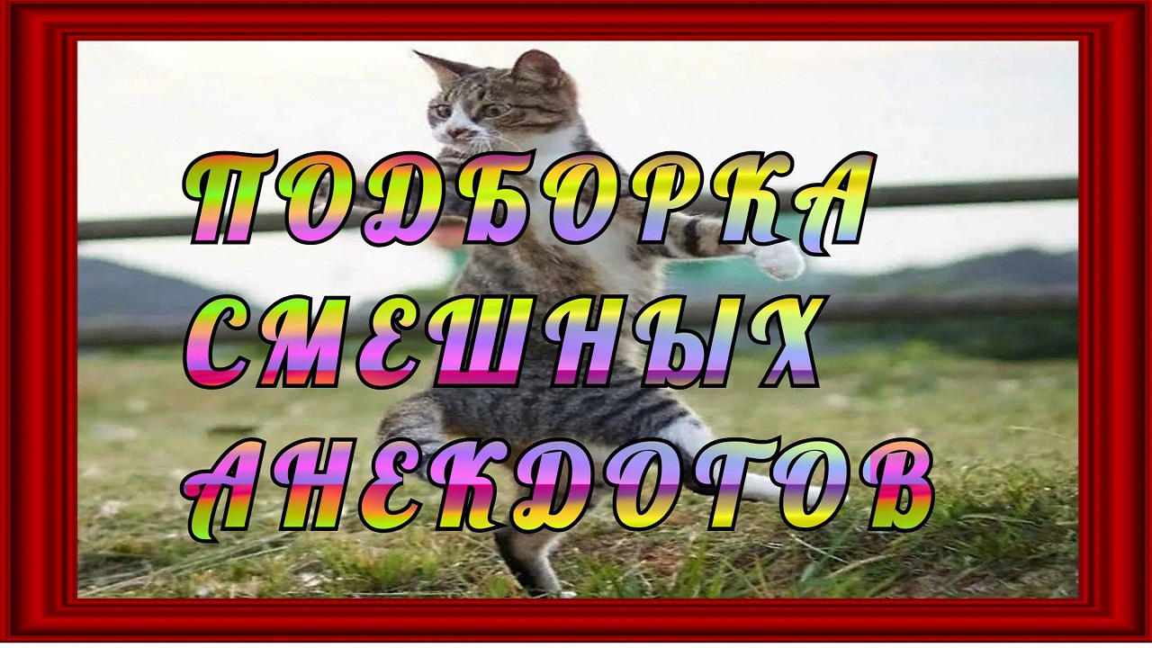 Анекдоты! Подборка коротких смешных анекдотов! Выпуск 3.mp4