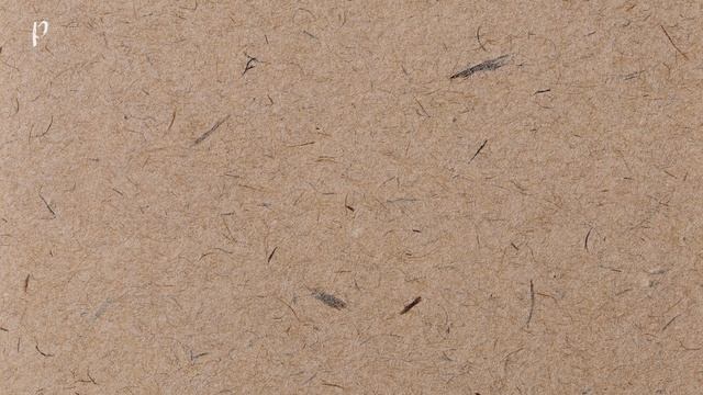 Екатерина Никандрова, Таисия Катаева. "Прогулка по Васильевскому острову"