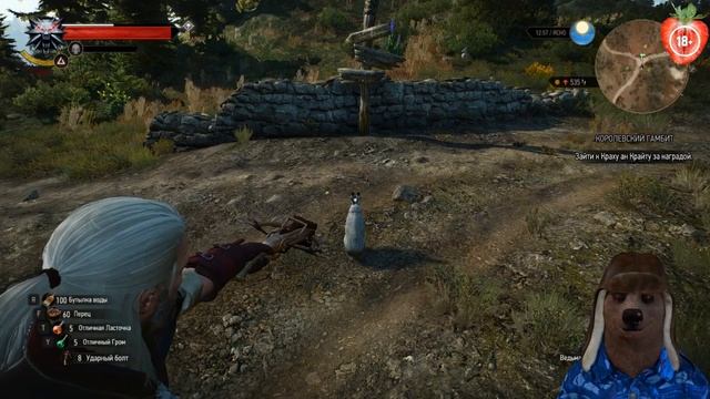 Ведьмак 3_ Дикая Охота прохождение Kill the rabbit 2 _ Убить кролика 2.mp4