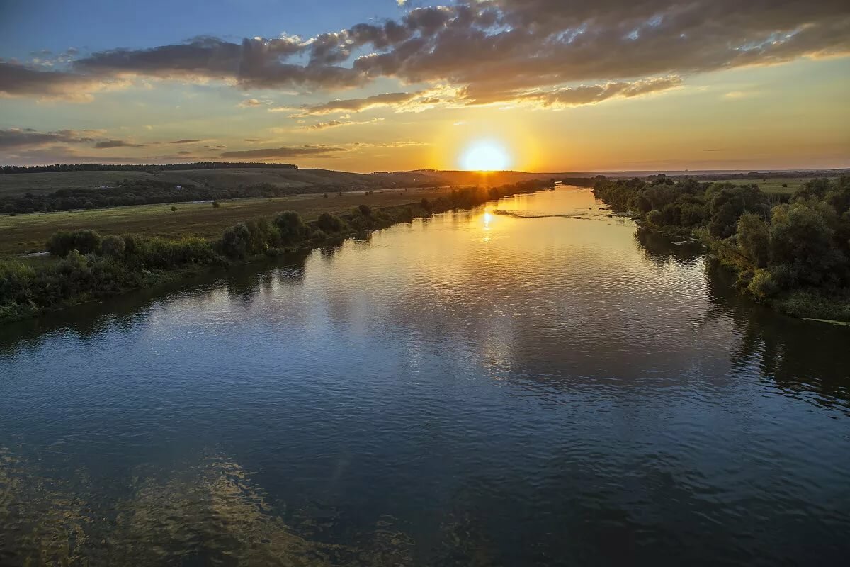 208.Максимальный вес на Дону. Bear.mp4