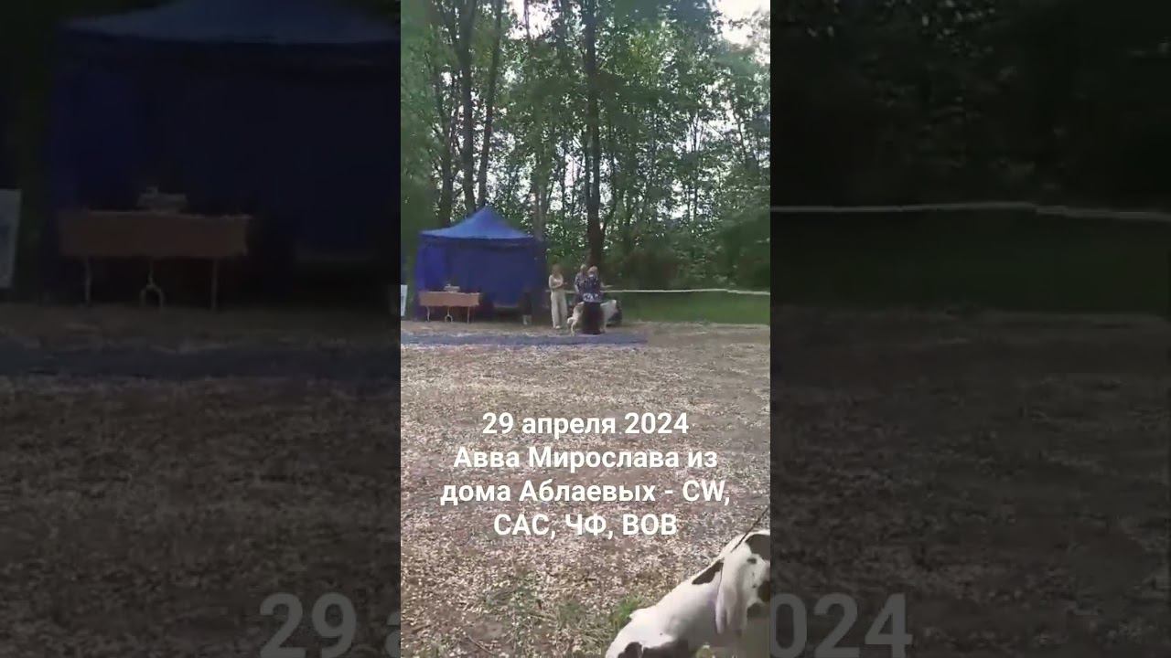 Авва Мирослава из дома Аблаевых на выставке 29.04.24 г.