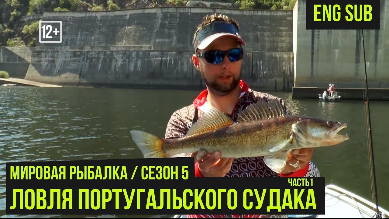 Ловля португальского судака ч. 1 / Мировая рыбалка #5 / #4