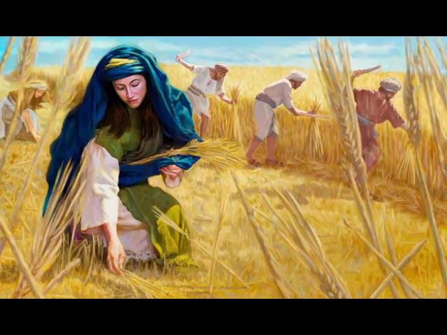 Библейские истории для детей -  семья Руфи