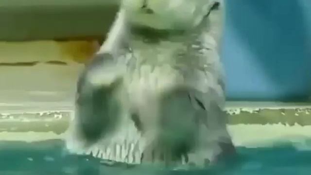 А кто это? такая умничка)?