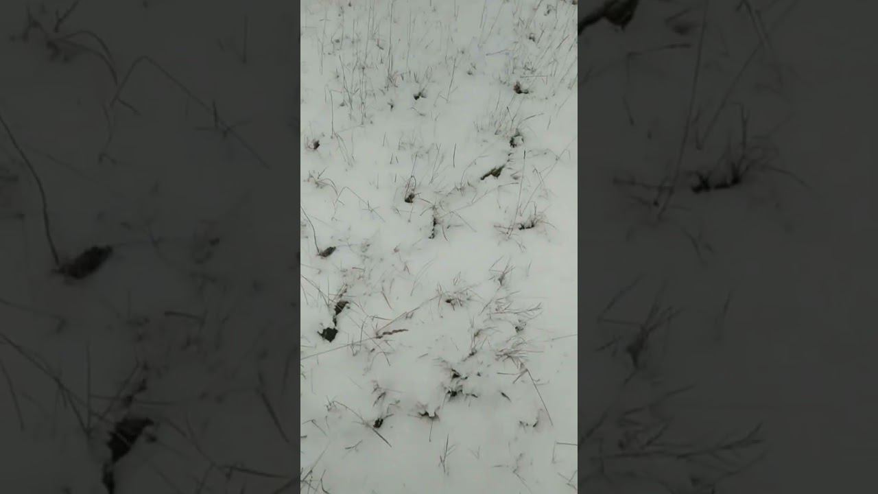 Наступила зима