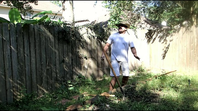 Случай на огороде