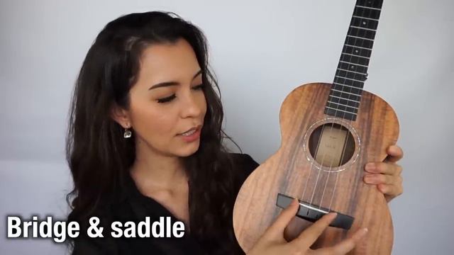 UKULELE ANATOMY BODY PARTS NAMES & QUIZ