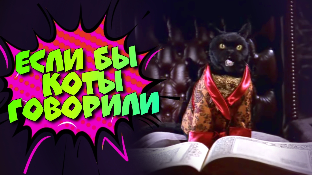 КИНОФИЛИЯ: Если бы коты говорили. Салем Саберхаген, Сабрина маленькая ведьма, смешная озвучка