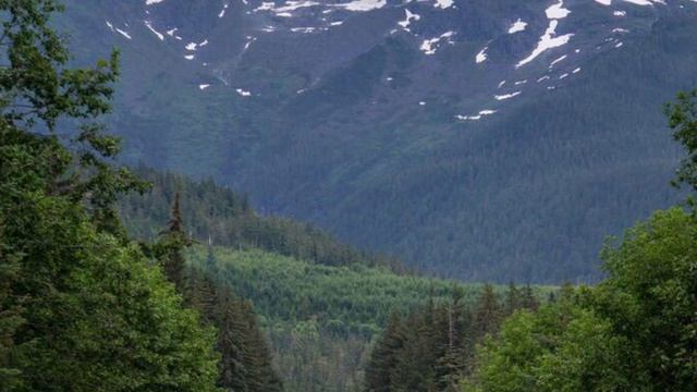 Если у вас трудный период в жизни