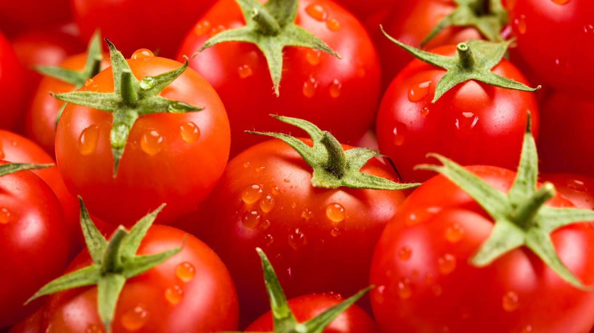 9 секретов урожайных помидоров