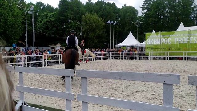 Легенда о Зорро