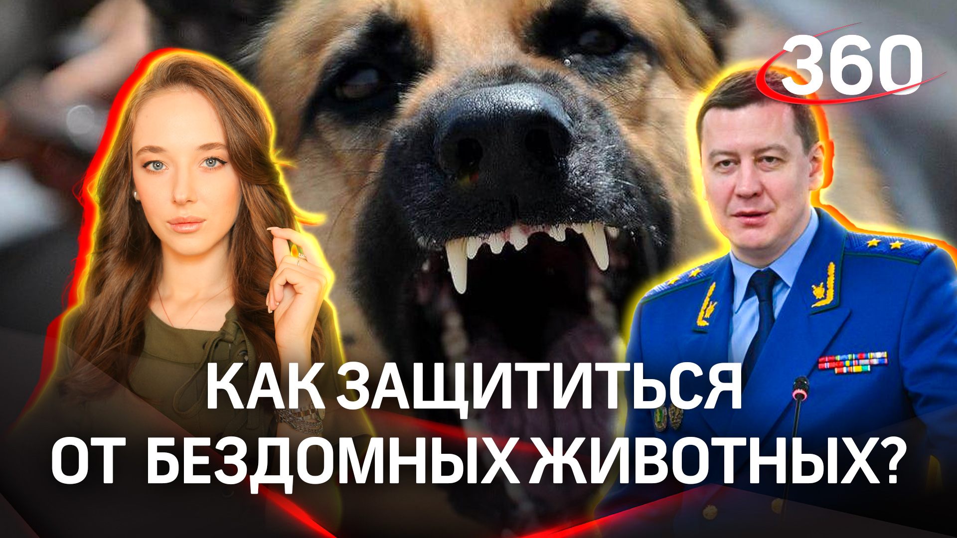 «Прокурор говорит»: как защититься и не быть…укушенным? | Анастасия Букреева