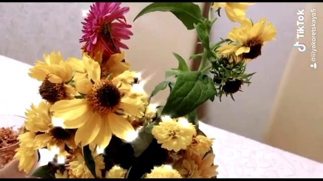 Шоколадный завтрак ???