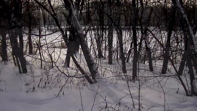 Зимняя прогулка в Косино 2017