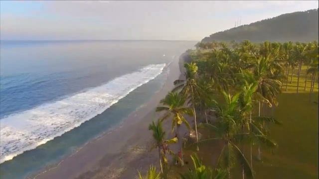 ♬ Johann Sebastian Bach   Organ music