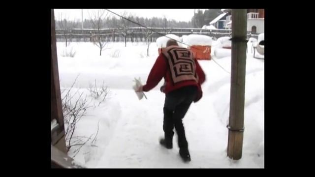МАМОНОВ ДВИГАЕТСЯ КАК КОШКА