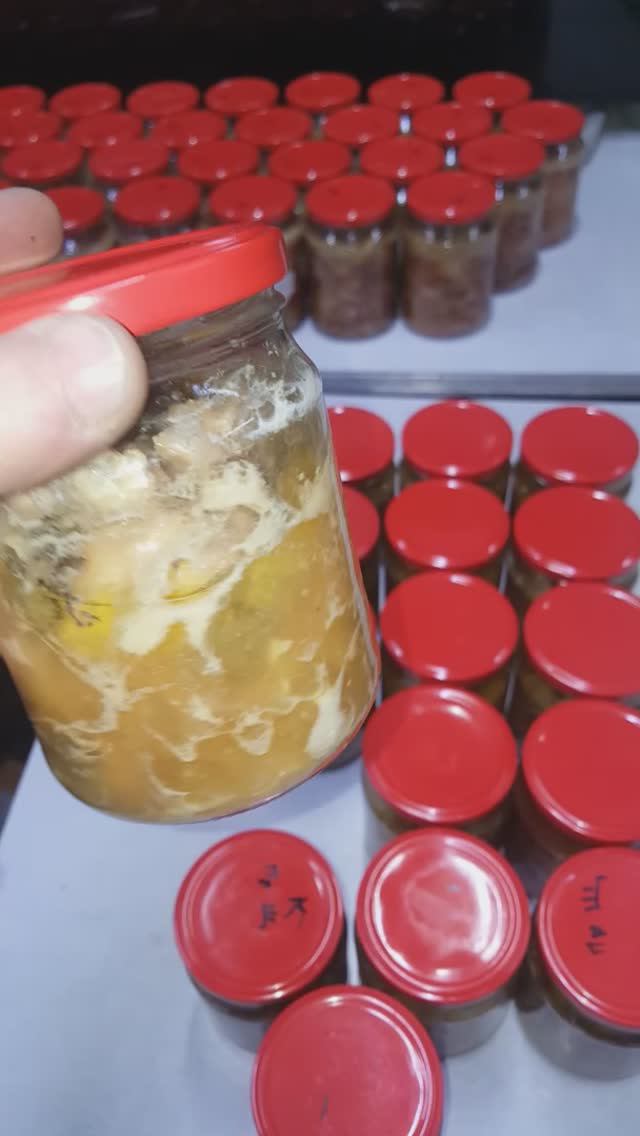 консерва из щуки с секретом