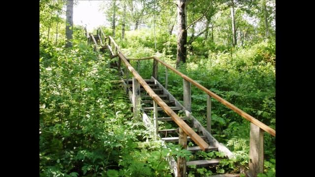 Стихи о жизни    Ступеньки жизни. Татьяна Логиновская