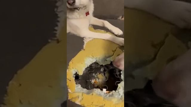 Человек, помоги выйти