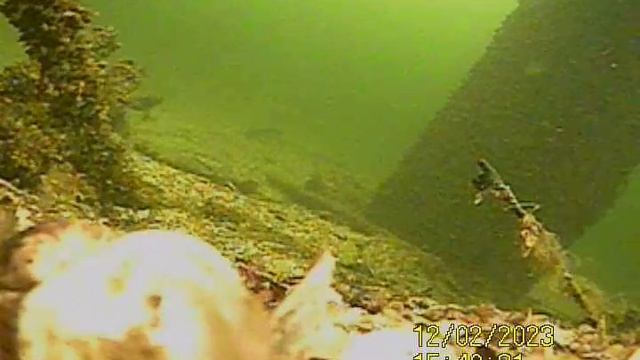 YouCut_20231202_160308038.mp4