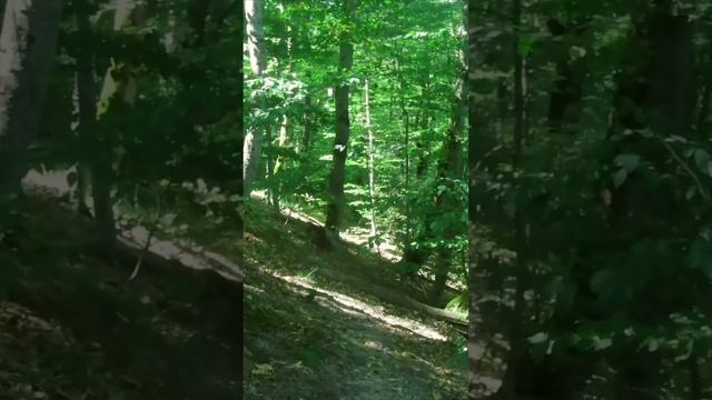 Траверсы с Николаем Новопашиным