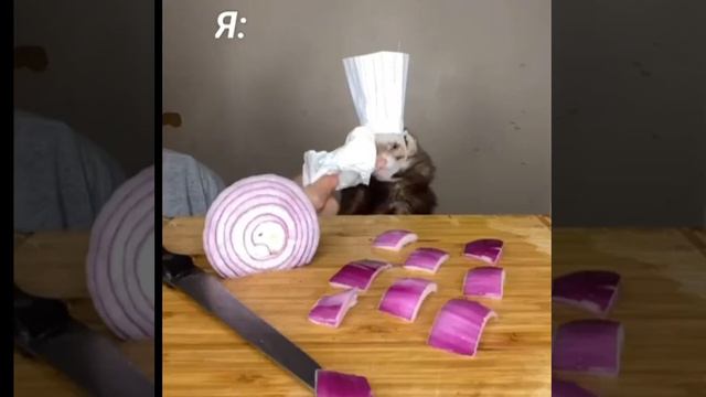 шашлык из овощей