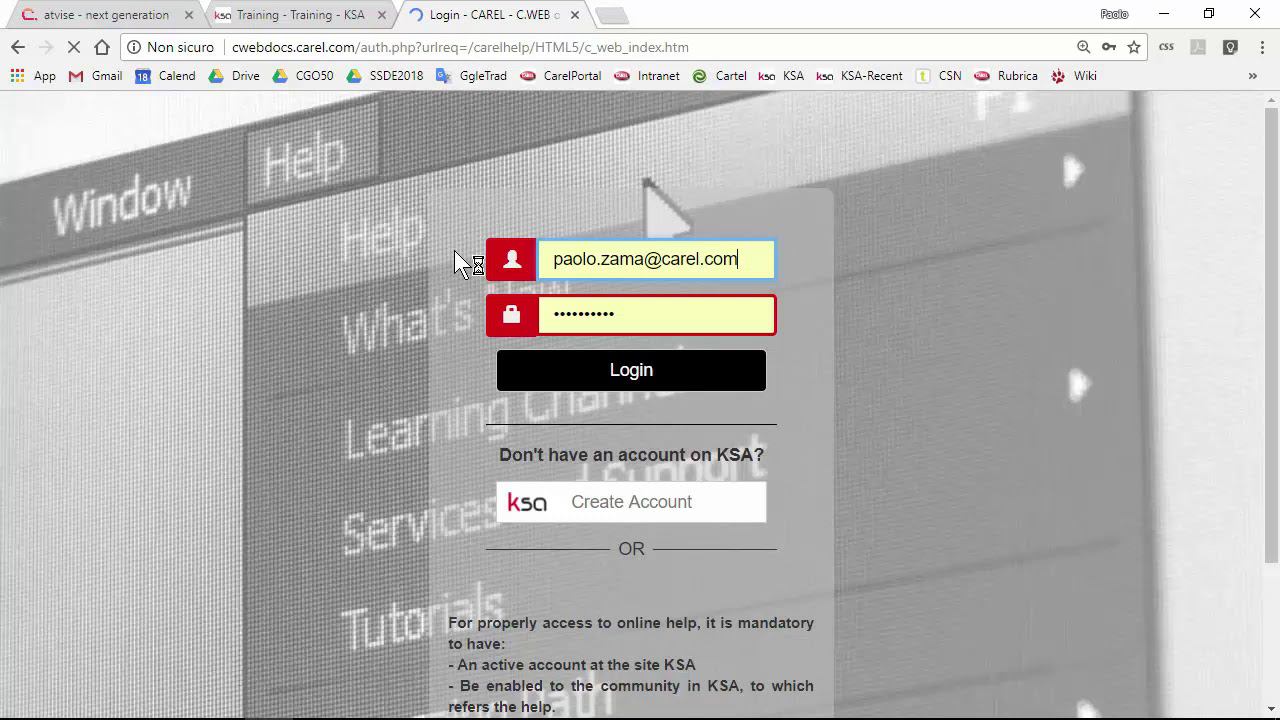 Carel. C.WEB. 02-Basics (Show a variable).