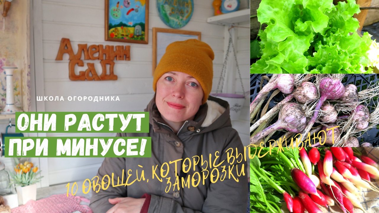 ОНИ РАСТУТ В МОРОЗЫ! / Более 10-ти овощей, которые выдерживают до минус шести